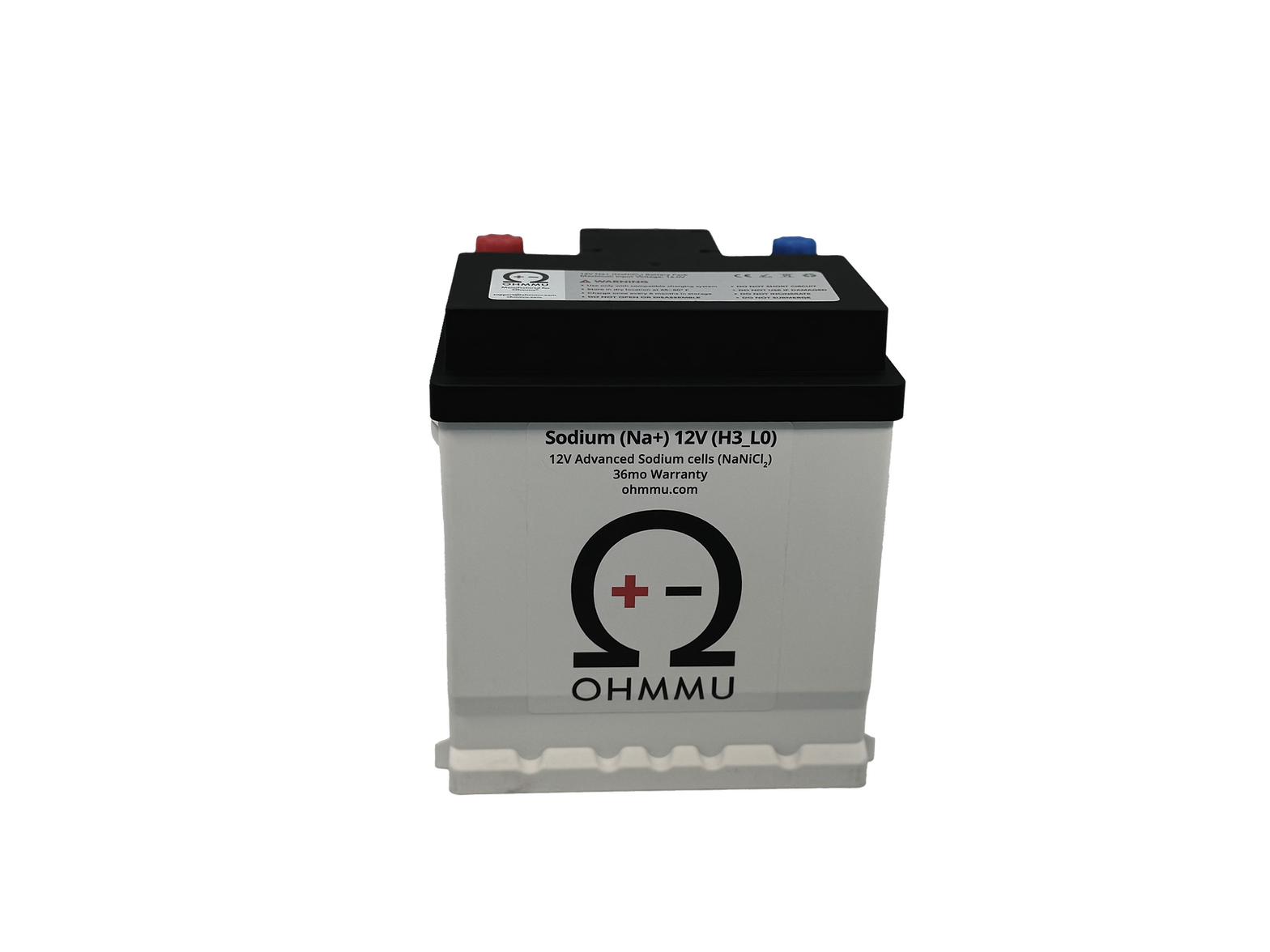 Mustang Mach-E 12 Volt Sodium Battery, 2021-2026 – EV Parts Online